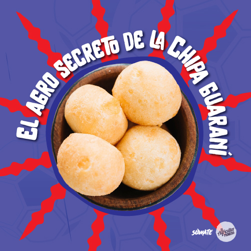 El agro secreto de la Chipa guaraní