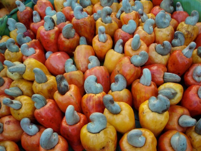 Frutas exóticas de Centro América, el Caribe y México