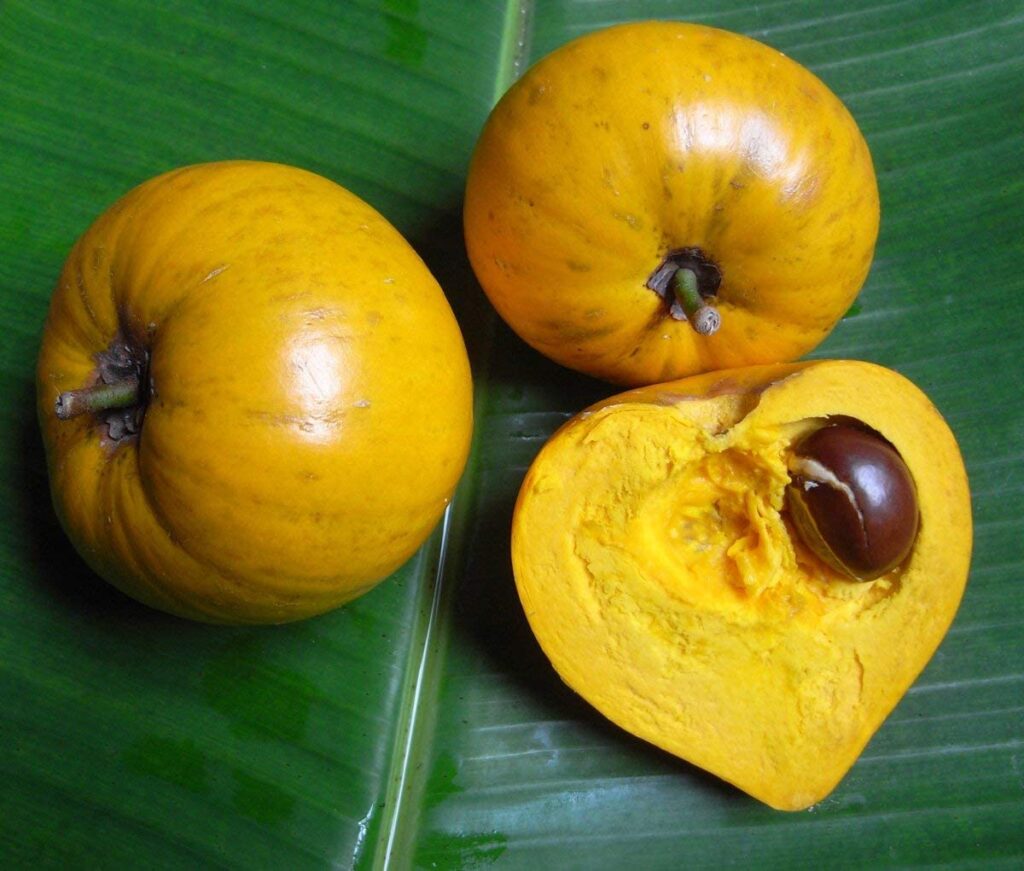 Frutas exóticas de Centro América, el Caribe y México